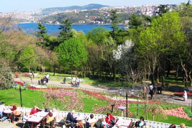 Visiting Emirgan Park Istanbul Guide: Tulips, Cafés & Views