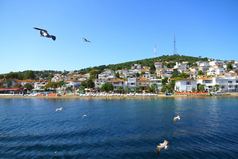 Heybeliada Istanbul Guide 2026: Ferries, Beaches, Things to Do ...