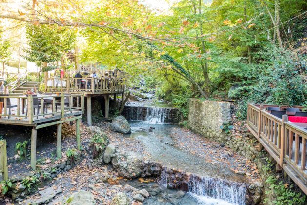 Best Sapanca and Masukiye Day Trips from Istanbul: Tours, DIY ...